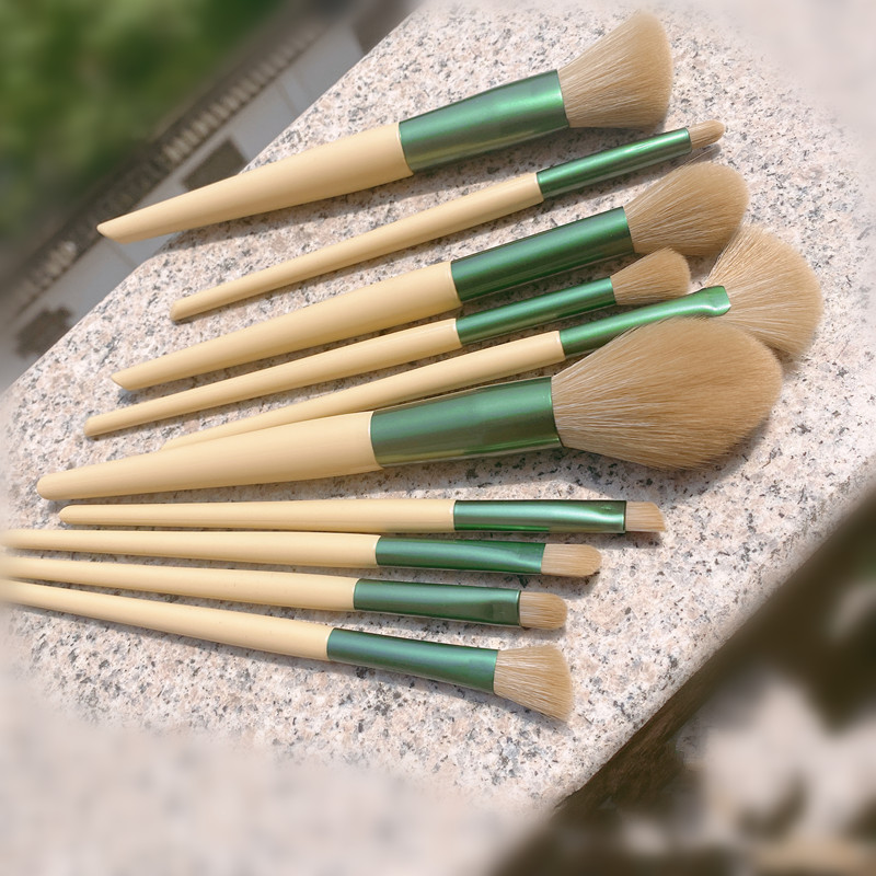 Complete set of beginner makeup brushes